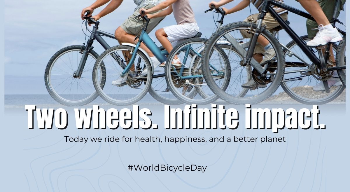 World Bicycle Day 2026: Countries With Most Bicycle-Friendly Cities