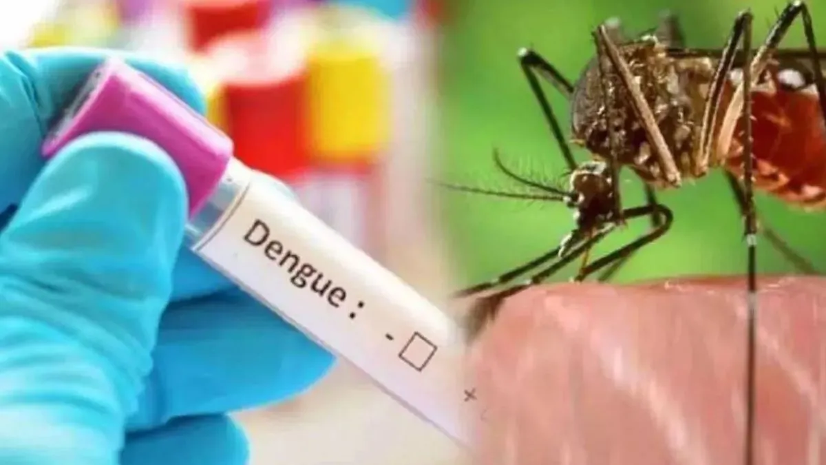Ghaziabad Records Four New Dengue Cases; Enhanced Surveillance And ...