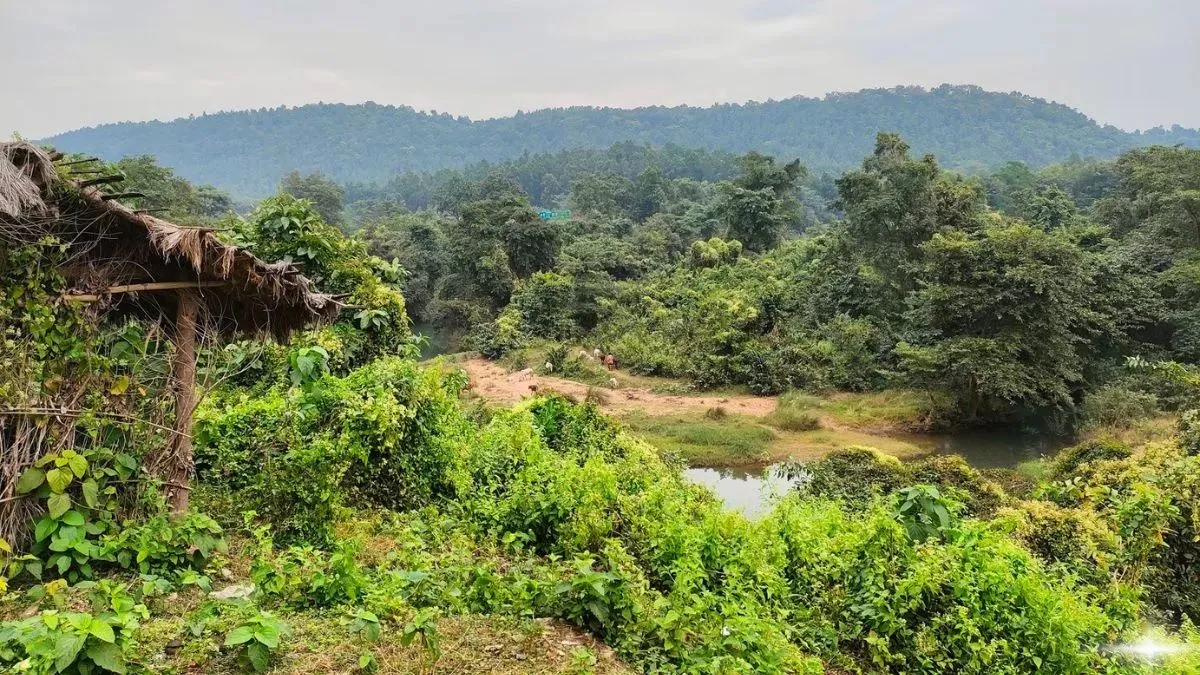 Jharkhand Bans Deep Boring In Forest Areas; Roads, Towers, Mining ...