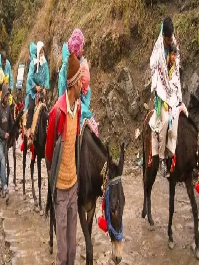 Uttarakhand Cabinet Approves Pilot Project To Turn Horse, Mule Dung On ...