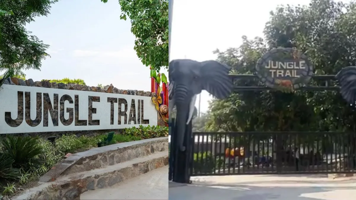 Noida Authority Opens Three-Zone Jungle Trail Park Near Mahamaya ...