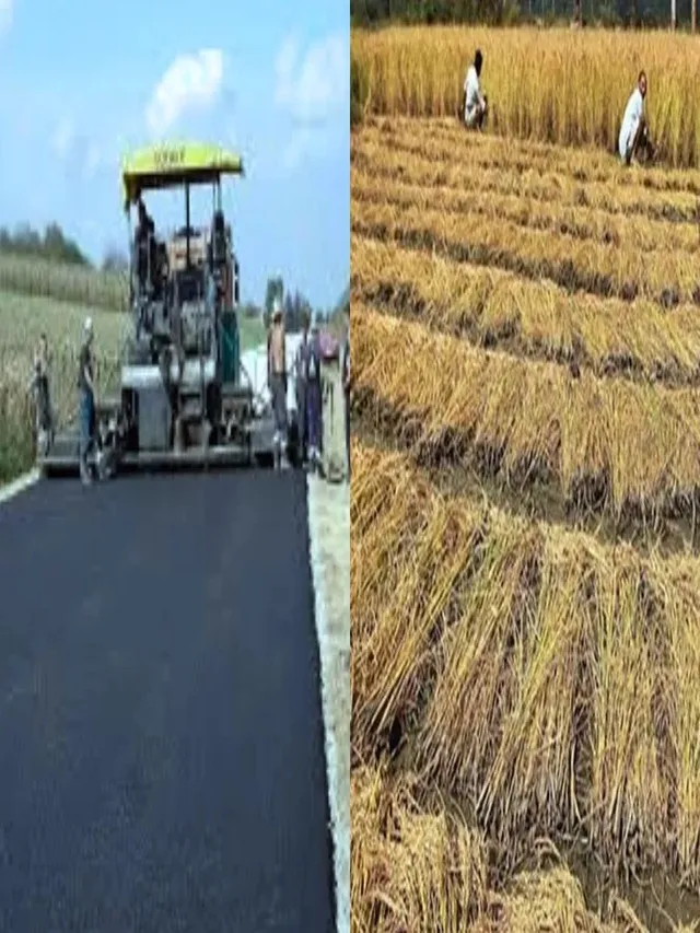 Dehradun CSIR-IIP Develops Bio-Bitumen From Paddy Stubble For Road ...