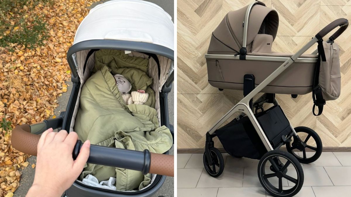 Best Baby Strollers For Daily Outing With Safety, Comfort, And Ease