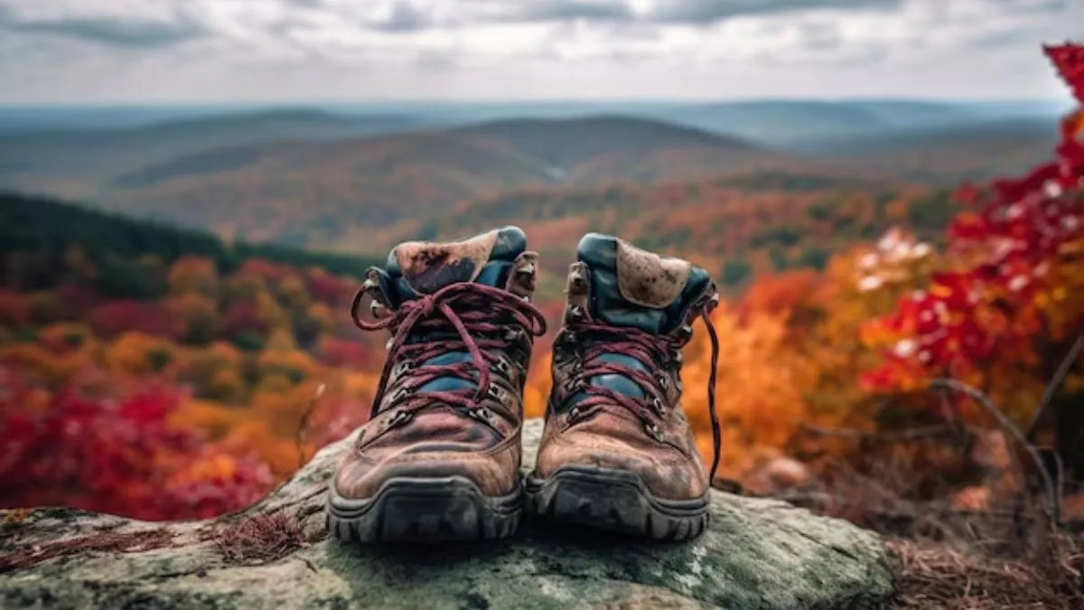 Best Pair Of Hiking Shoes For Travellers: From Hills To Forests