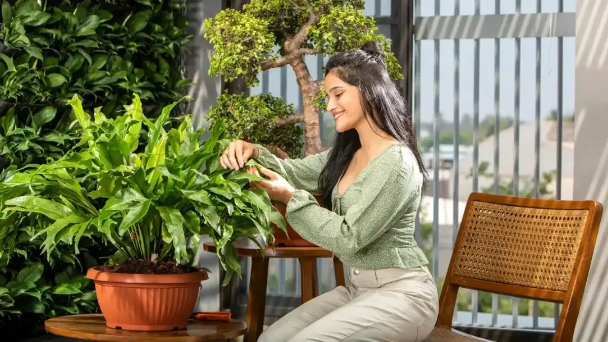 Best Low-Maintenance Plants For Your Balcony Decor (August 2025)