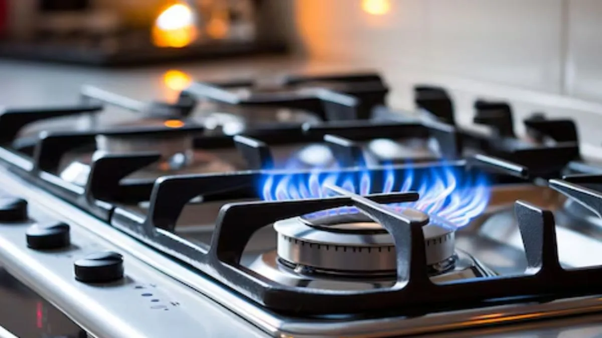 Is A Stainless Steel Gas Stove Right For My Kitchen?