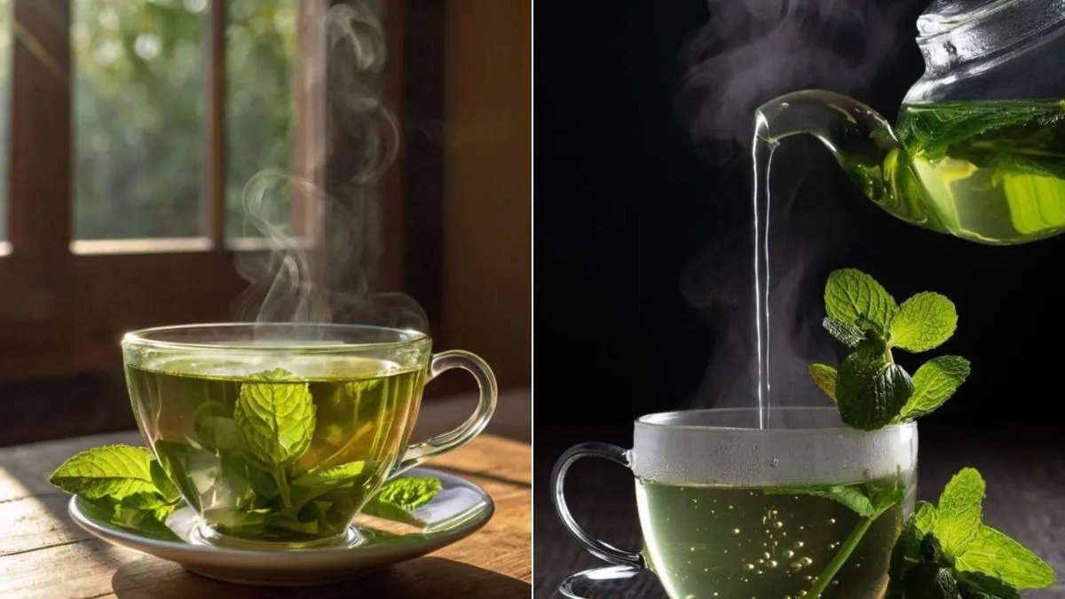 Green Tea Brands You Need To Try: Best Picks For Indian Consumers