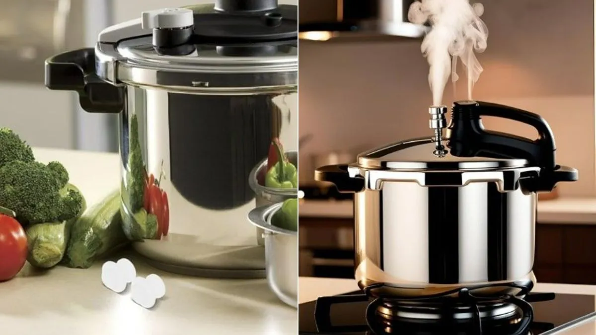 What Are The 10 Best Pressure Cooker Brands For Quick And Energy ...