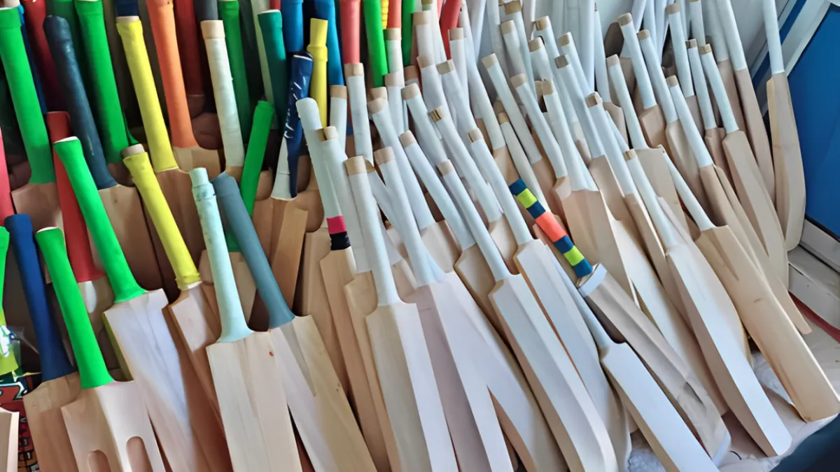 Are Kashmir Willow Cricket Bats Good For Beginners and Intermediate ...