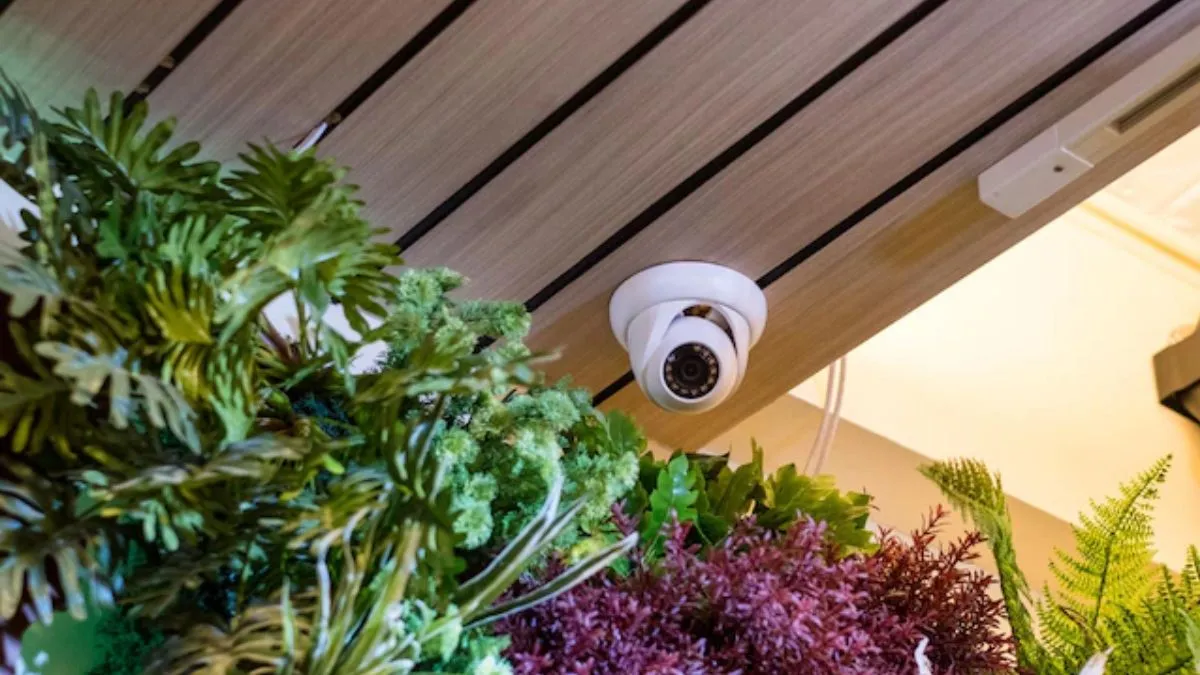 How Much Do The Best Outdoor CCTV Cameras With Night Vision Cost? (June ...
