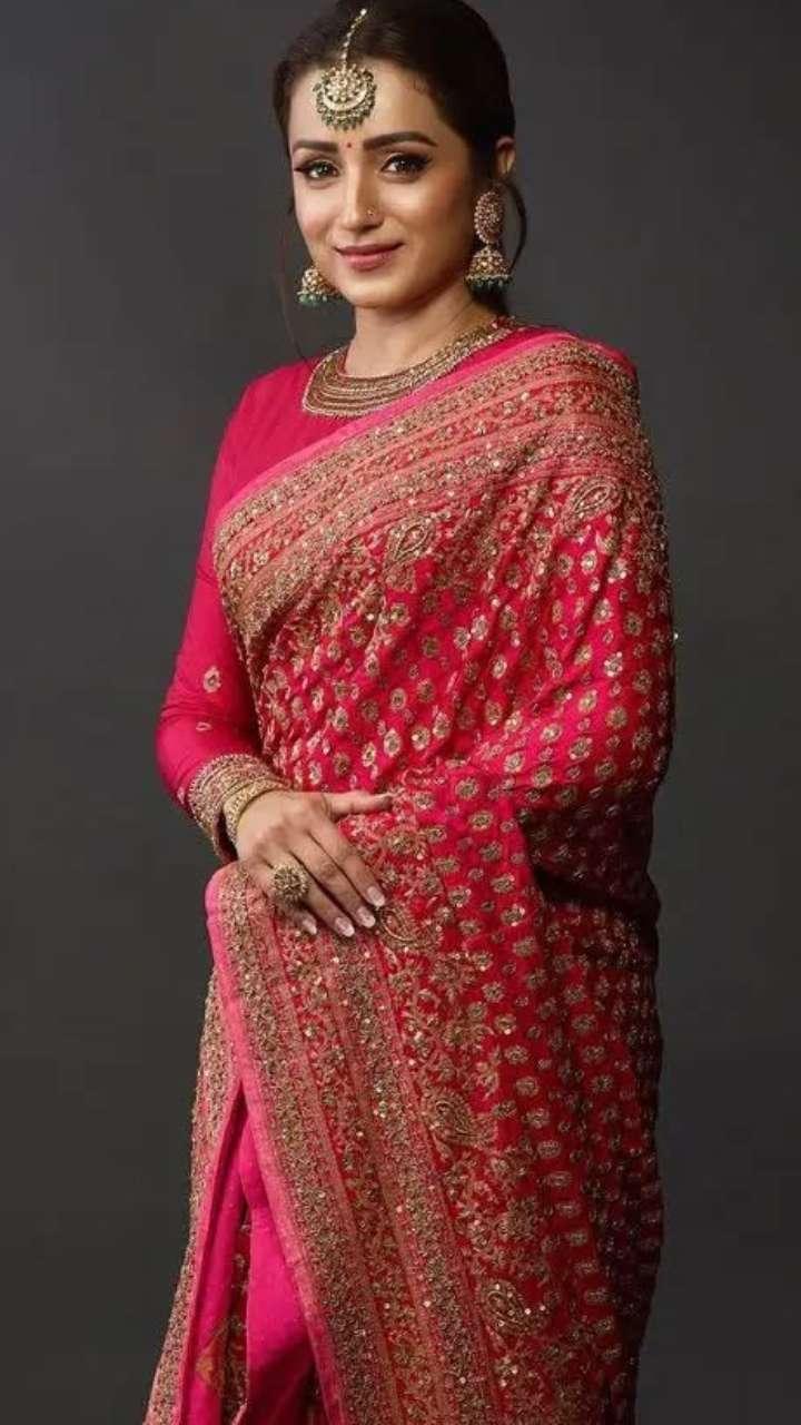Trisha Krishnan's Best Saree Blouse Designs For Every Occasion