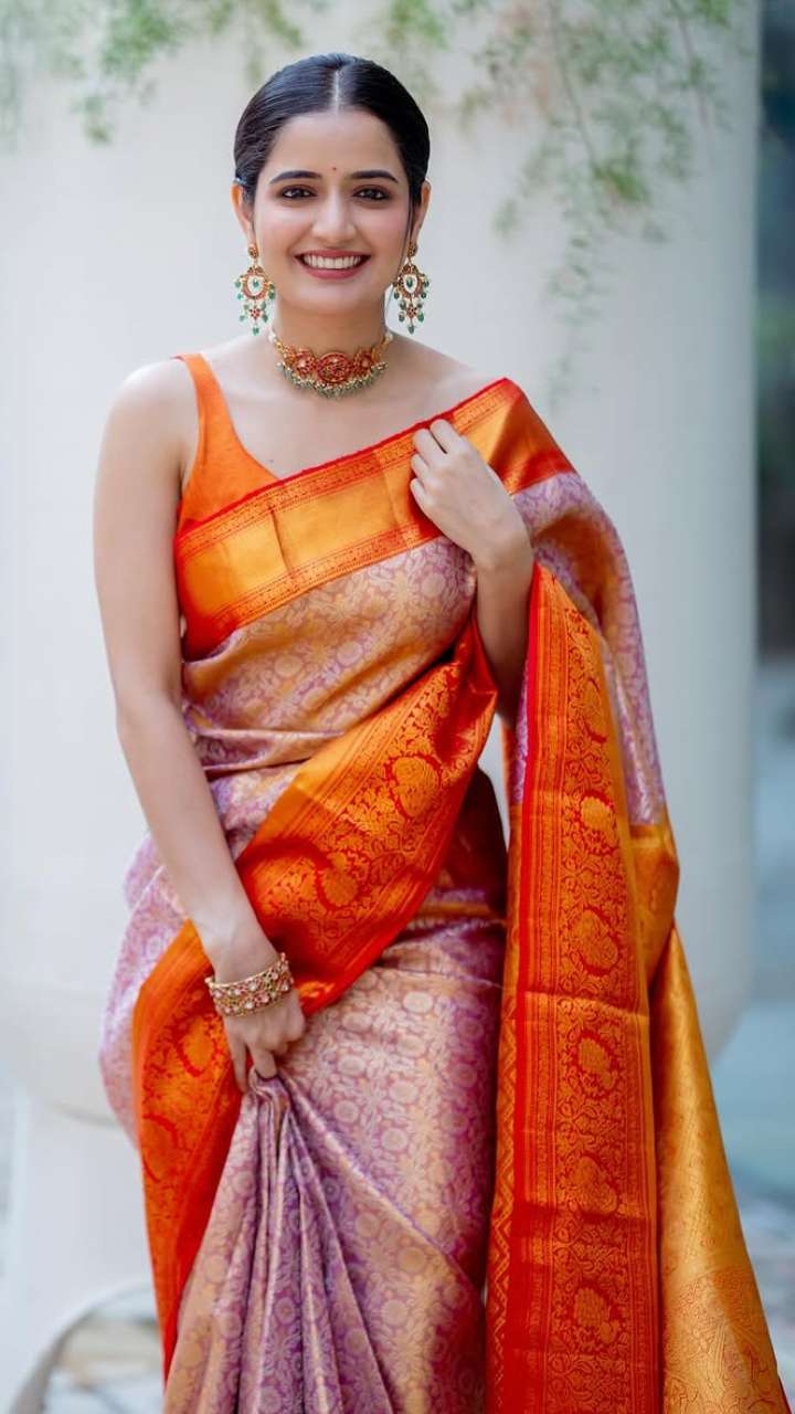 Ashika Ranganath's 7 Stylish Blouse Designs To Pair With Silk Sarees!