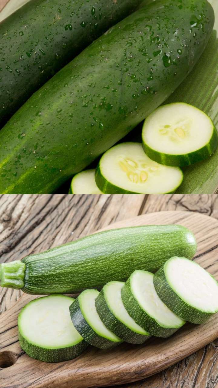 Cucumber Vs Zucchini: Check The Difference