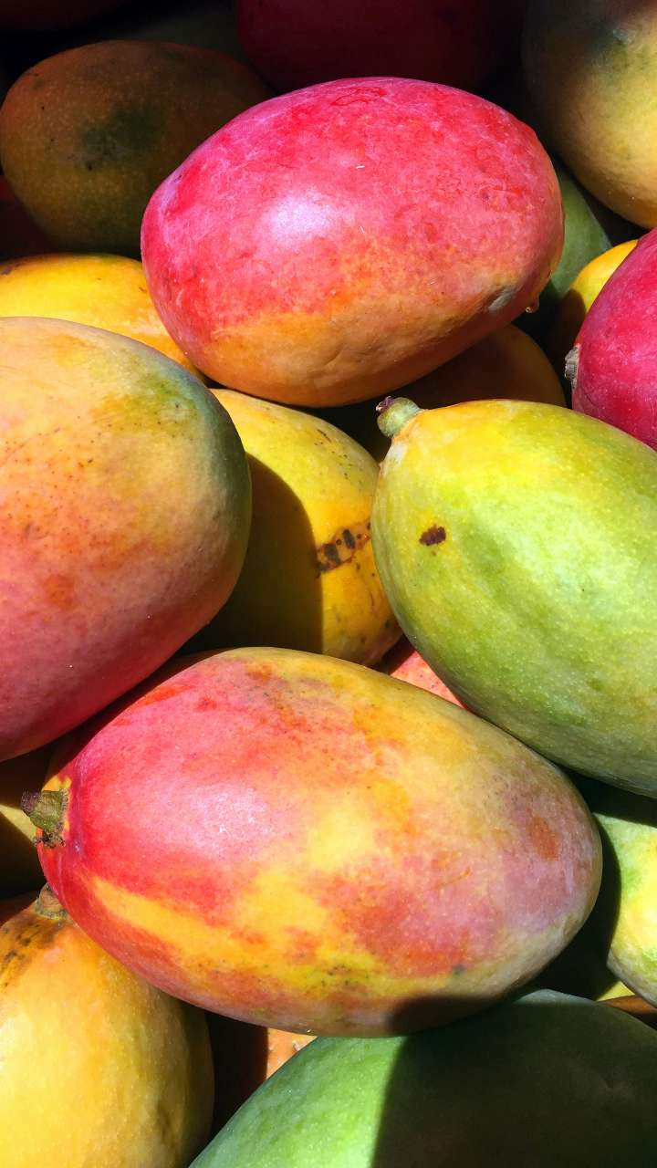 5 Most Expensive Mangoes In The World!
