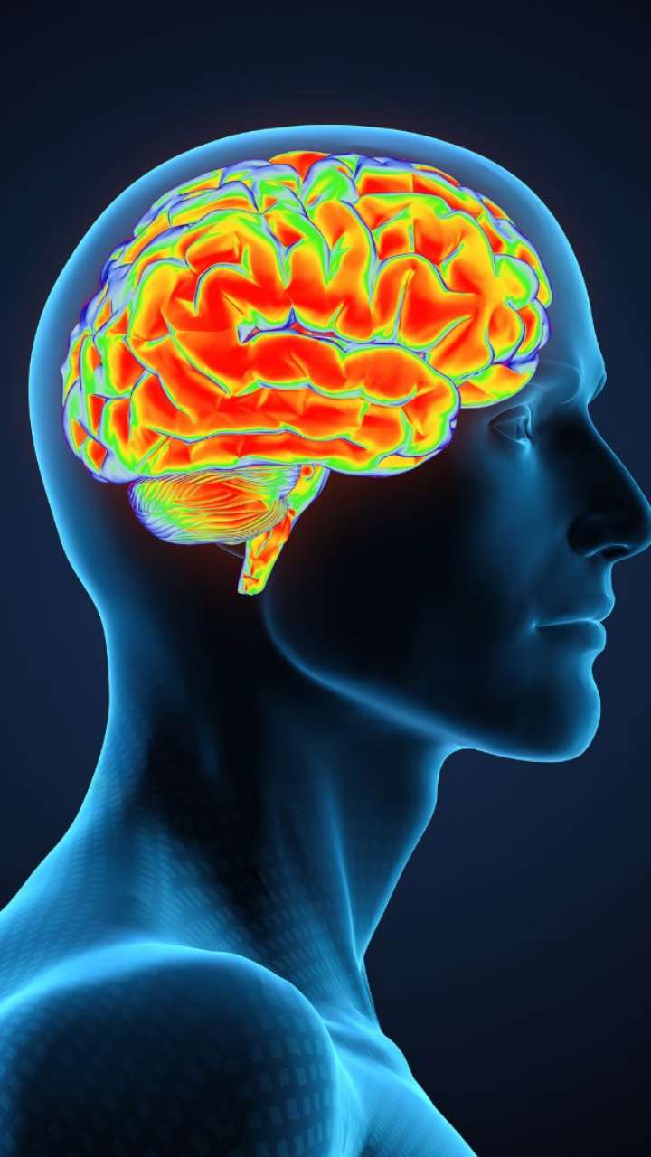 7 Daily Habits That Can Protect Your Brain From Damage!