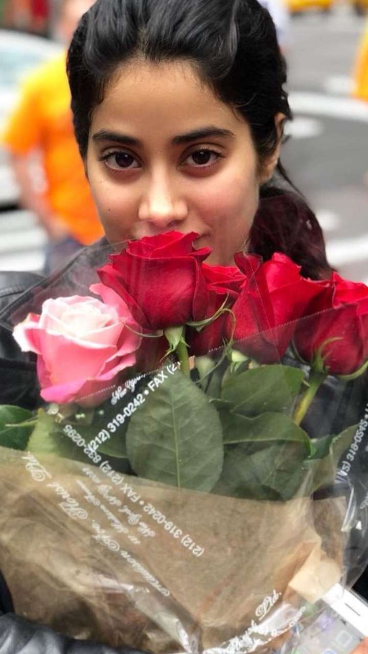 Rose Day 2023: Meanings Of Different Colours Of Gulab