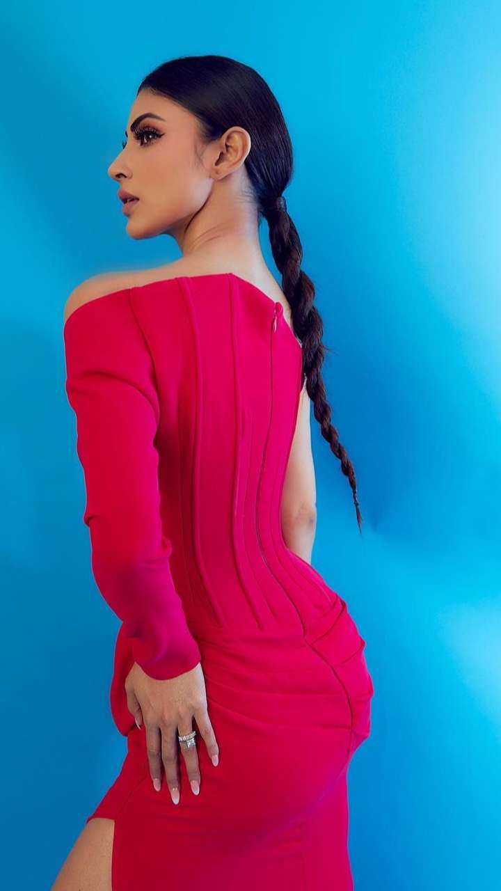 Mouni Roy Braid Hairstyles | Celeb Inspired Hairstyles