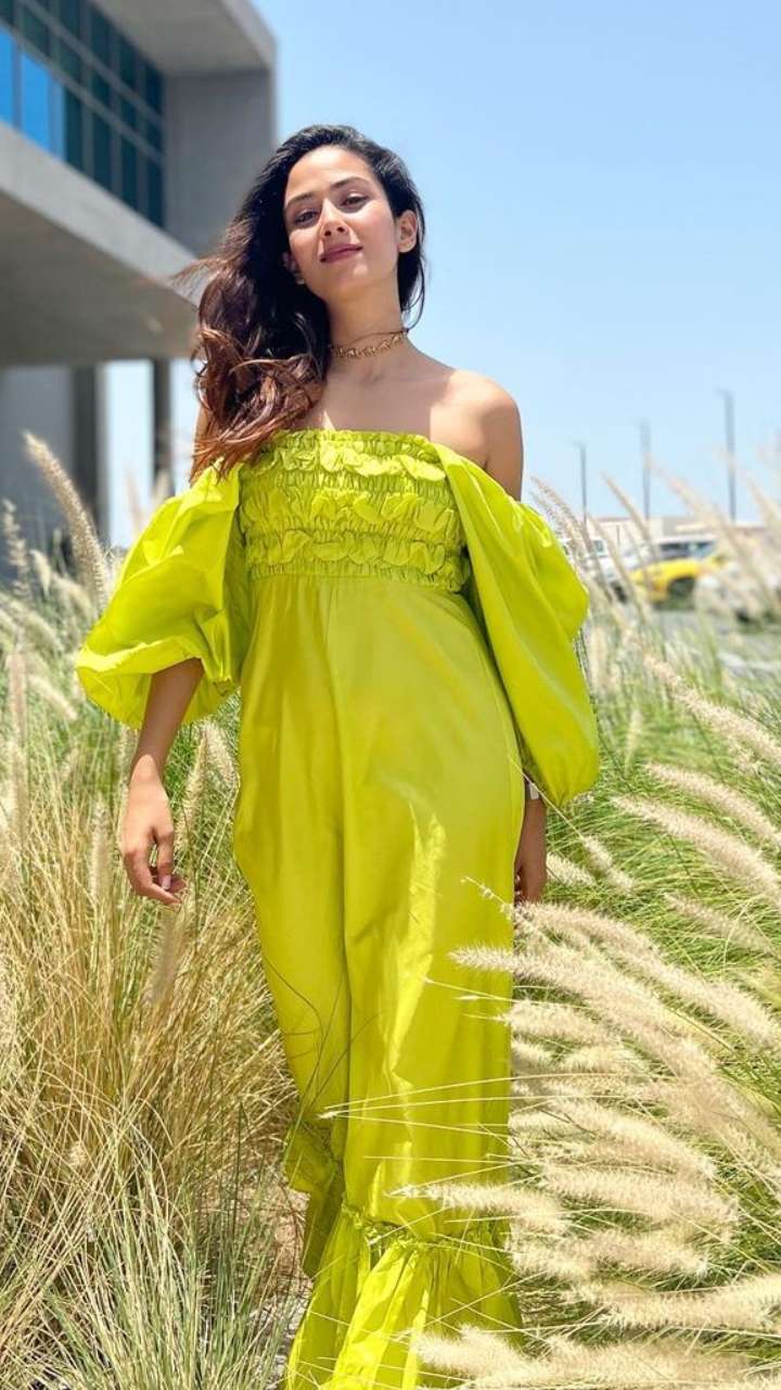 Mira Rajput Oil Recipe Hair Growth Tips