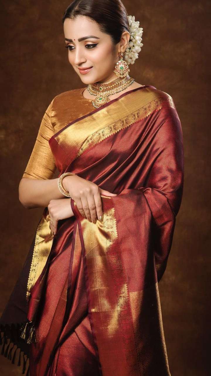 Karwa Chauth 2023: Trisha Krishnan Sarees For The Occasion