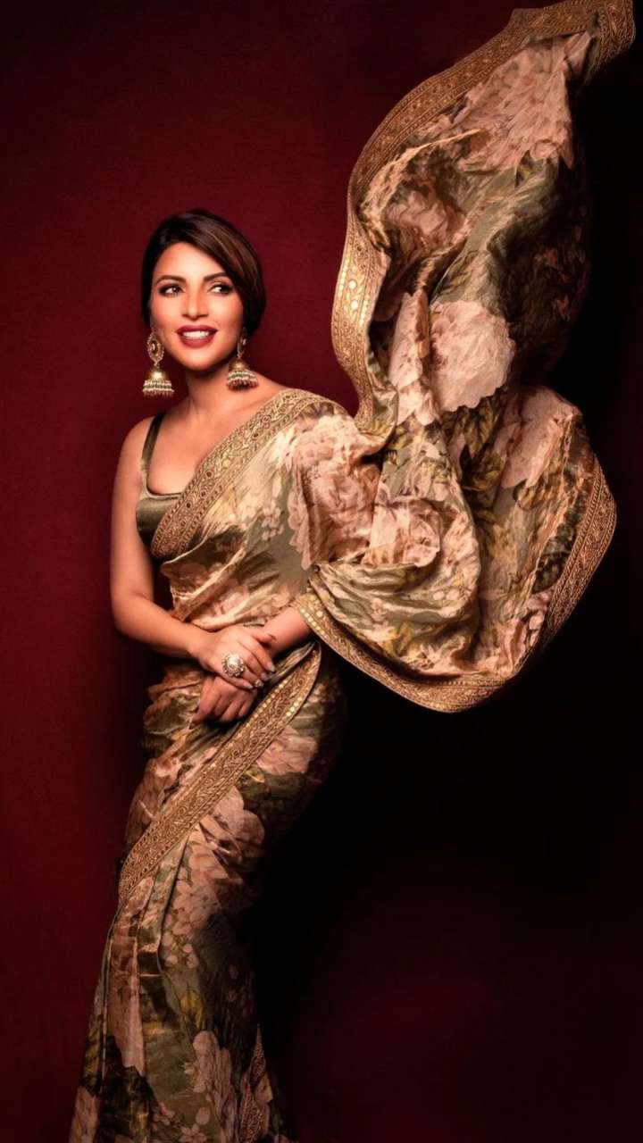 Shama Sikander Stands Out In Satin Floral Saree