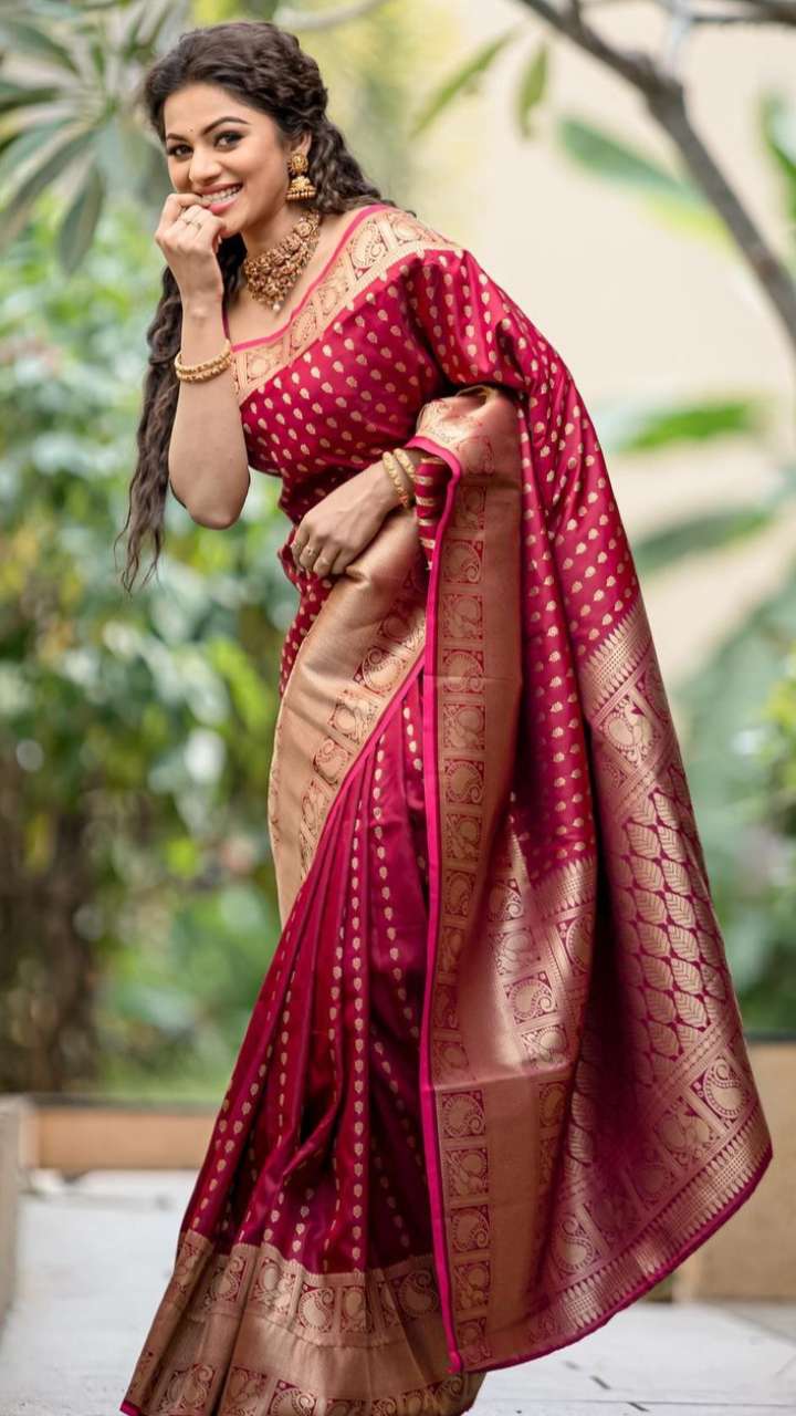 6 Alluring Traditional Sarees From Delna Davis's Wardrobe
