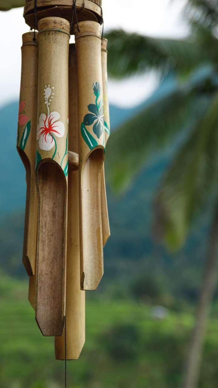 5 Auspicious Show Pieces For Home Entrance