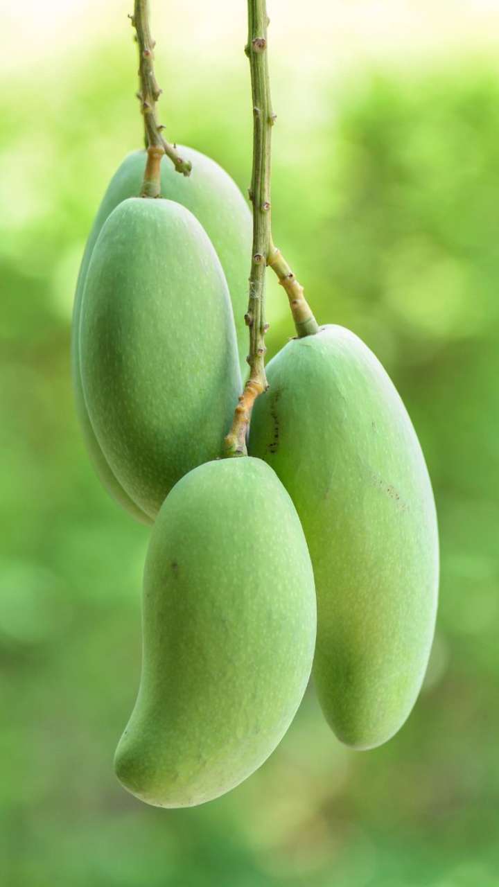 5 Reasons To Add Raw Mango In Your Summer Diet