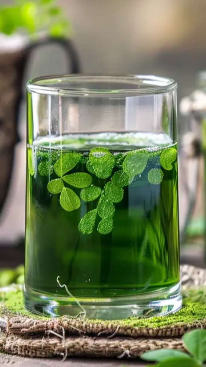 Magical Benefits Of Drinking Moringa Water Everyday In Morning