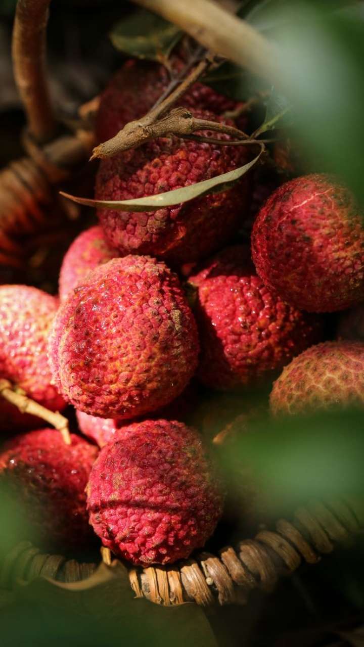 6 Amazing Health Benefits Of Eating Litchi During Summer
