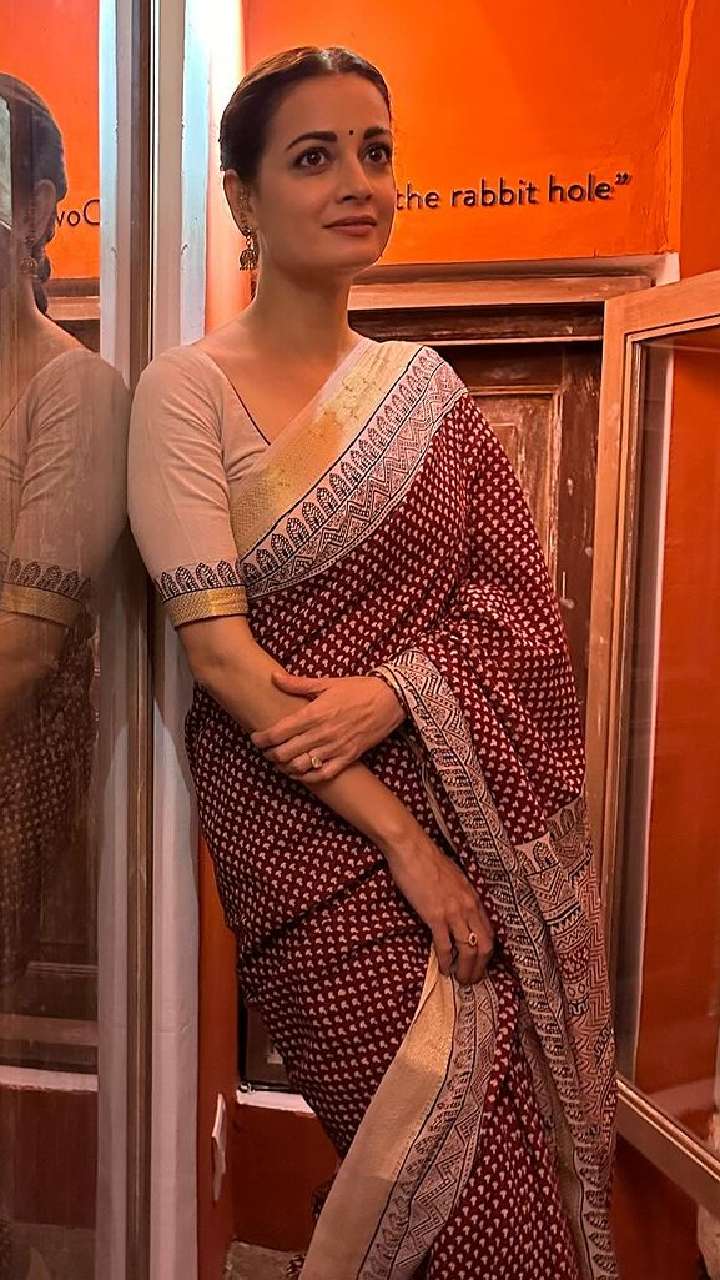 Diya Mirza En Sari