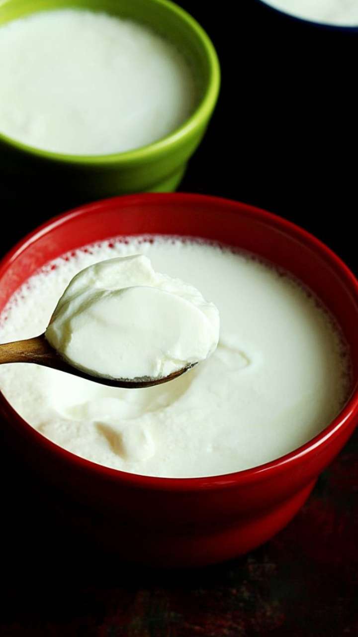 Curd With Salt VS Sugar: Which Is Healthier Option?